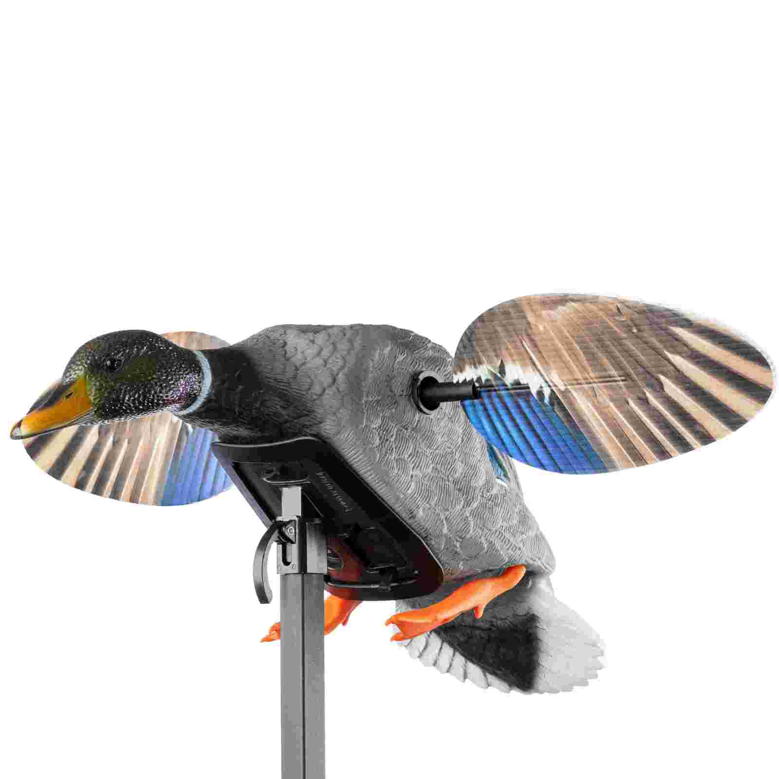 Mini Mallard Drake din seria Mojo Elite | 33231